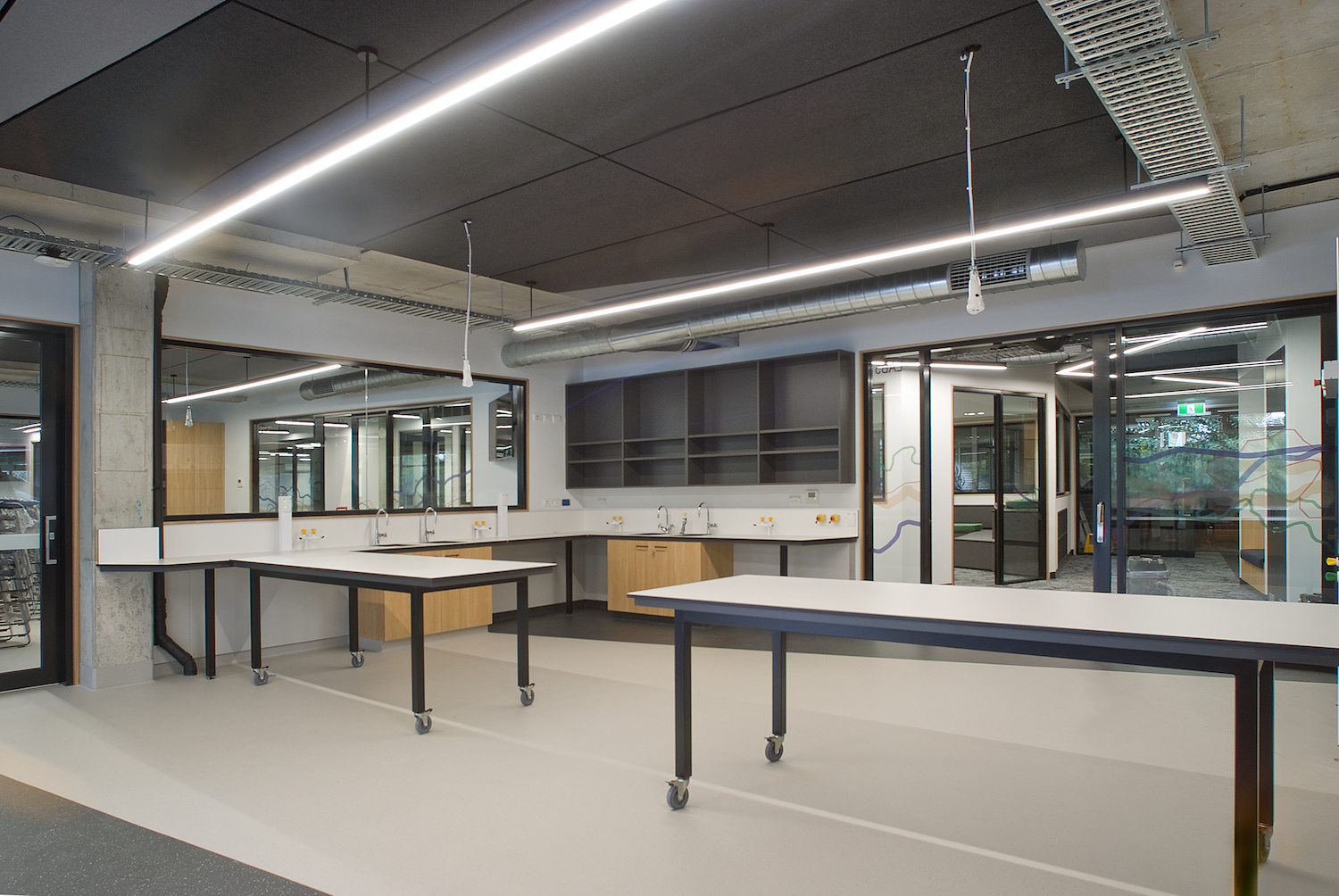 Efficient Lighting Systems (ELS) - Efficient Lighting Systems