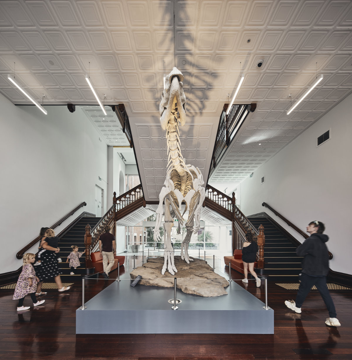 WA Museum Boola Bardip - Efficient Lighting Systems